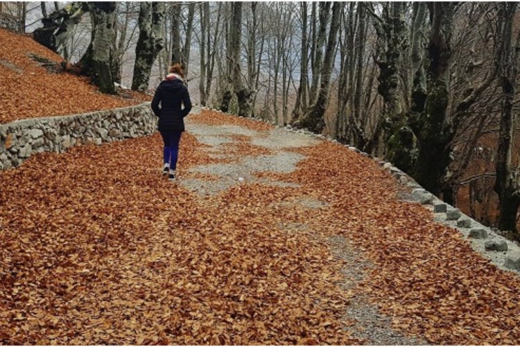 Mirije Vrangalla - NJË DOLLI - Orfeu.AL