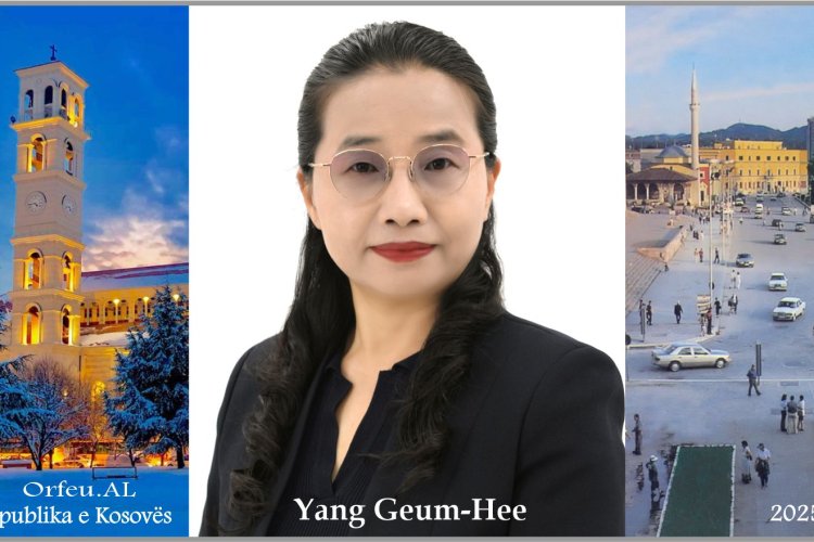 The intellectual personality of Ms. Yang Geum-Hee - Orfeu.AL