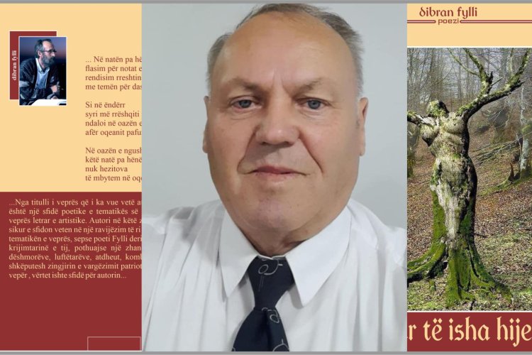 Ahmet Pllana, poet - Vështrim letrar (Libri poetik “Sikur të isha hije ...